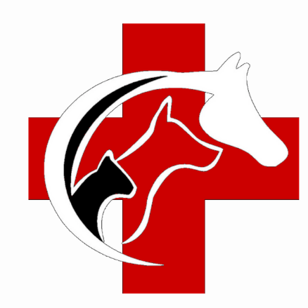 Pet Emergency Education Training and Certification, CPR and First Aid ...